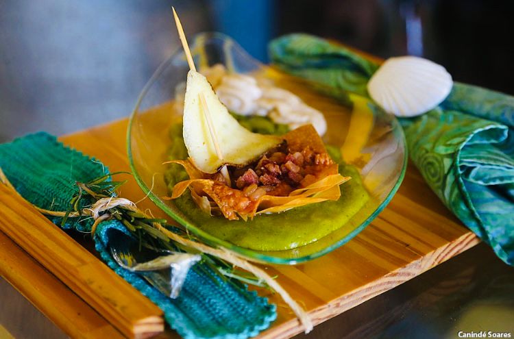 POTE DE AFETO – Hilneth Correia